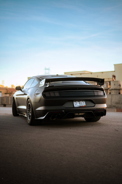 Ford Mustang S550 Wing – Nelson Racing Wheel